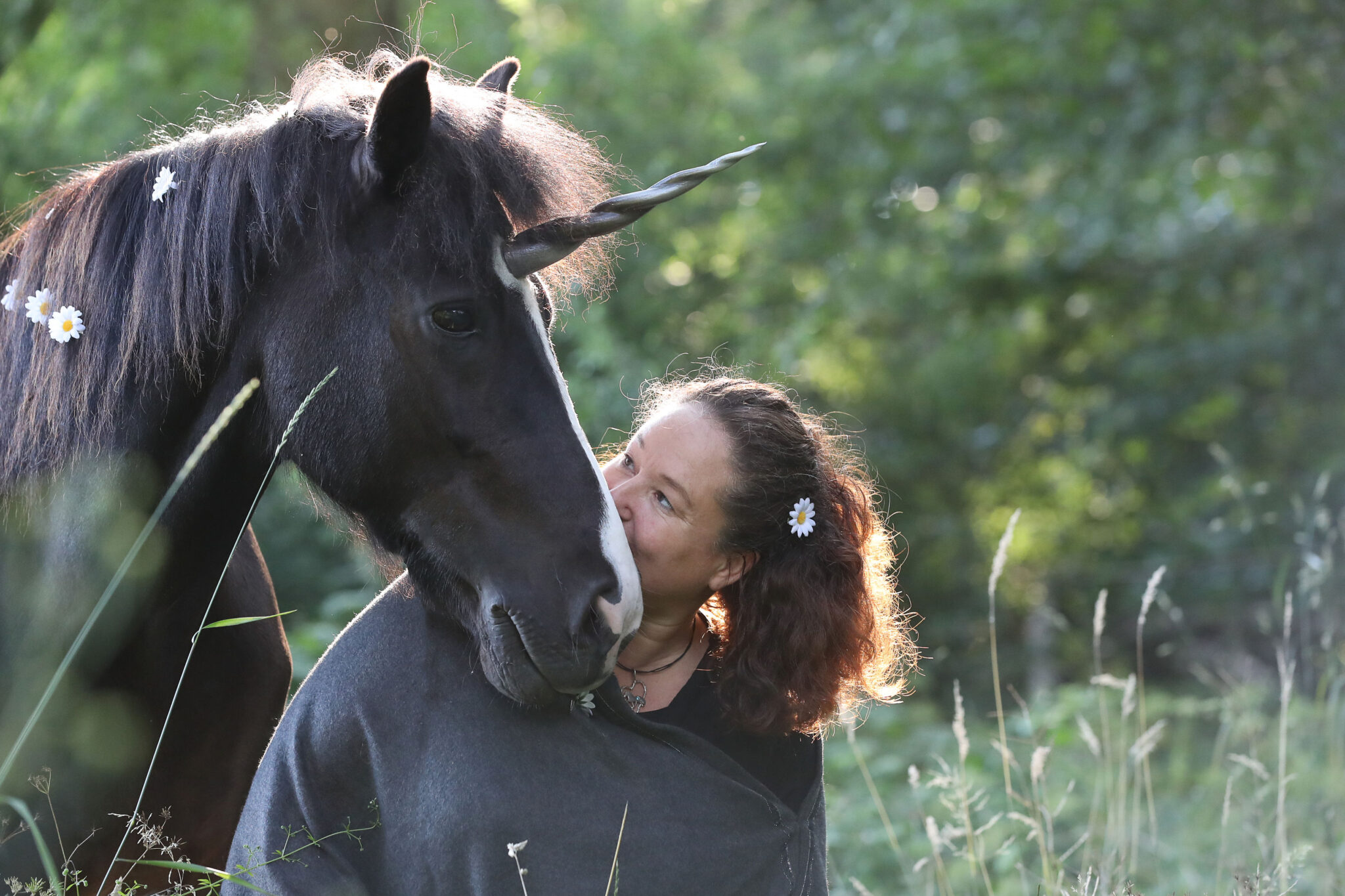 Über mich – Ganz Tier Physiotherapie und Osteopathie
